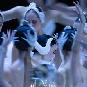 Le lac des cygnes - AlloCiné