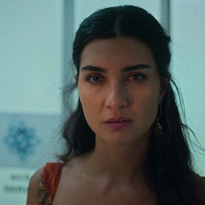 Le Chemin de l'olivier Saison 2 - AlloCiné