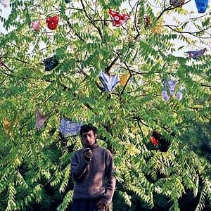 Sacha Bourdo - AlloCiné