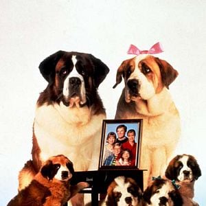 Beethoven 2 - Film 1993 - AlloCiné