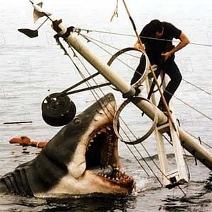 Les Dents de la Mer - Film 1975 - AlloCiné