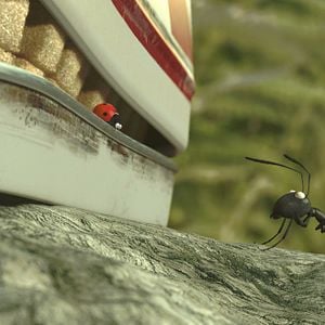 Minuscule - La vallée des fourmis perdues - Film 2013 - AlloCiné