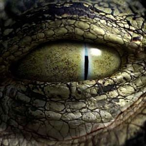 Robocroc - film 2013 - AlloCiné