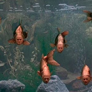 Monty Python, le sens de la vie : Photos et affiches - AlloCiné