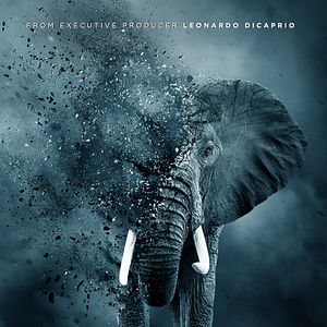 The Ivory Game - Film documentaire 2016 - AlloCiné
