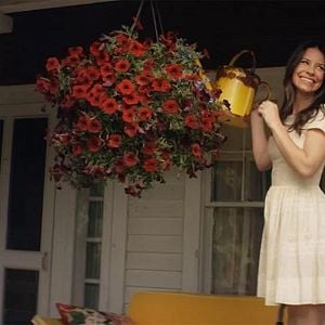 Little Evil - Film 2017 - AlloCiné