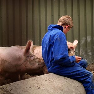 Ceres - Film documentaire 2018 - AlloCiné