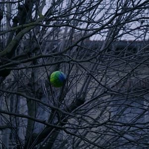 Daniel Fait Face - Film 2018 - AlloCiné