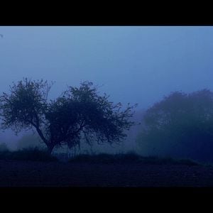 Vortex - Film 2019 - AlloCiné