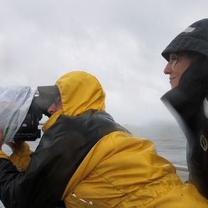 Blackfish - film 2013 - AlloCiné