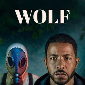 Wolf - Série TV 2023 - AlloCiné