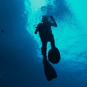 The Dive - Film 2023 - AlloCiné