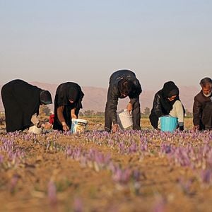 Désir d’Eau - Film documentaire 2018 - AlloCiné