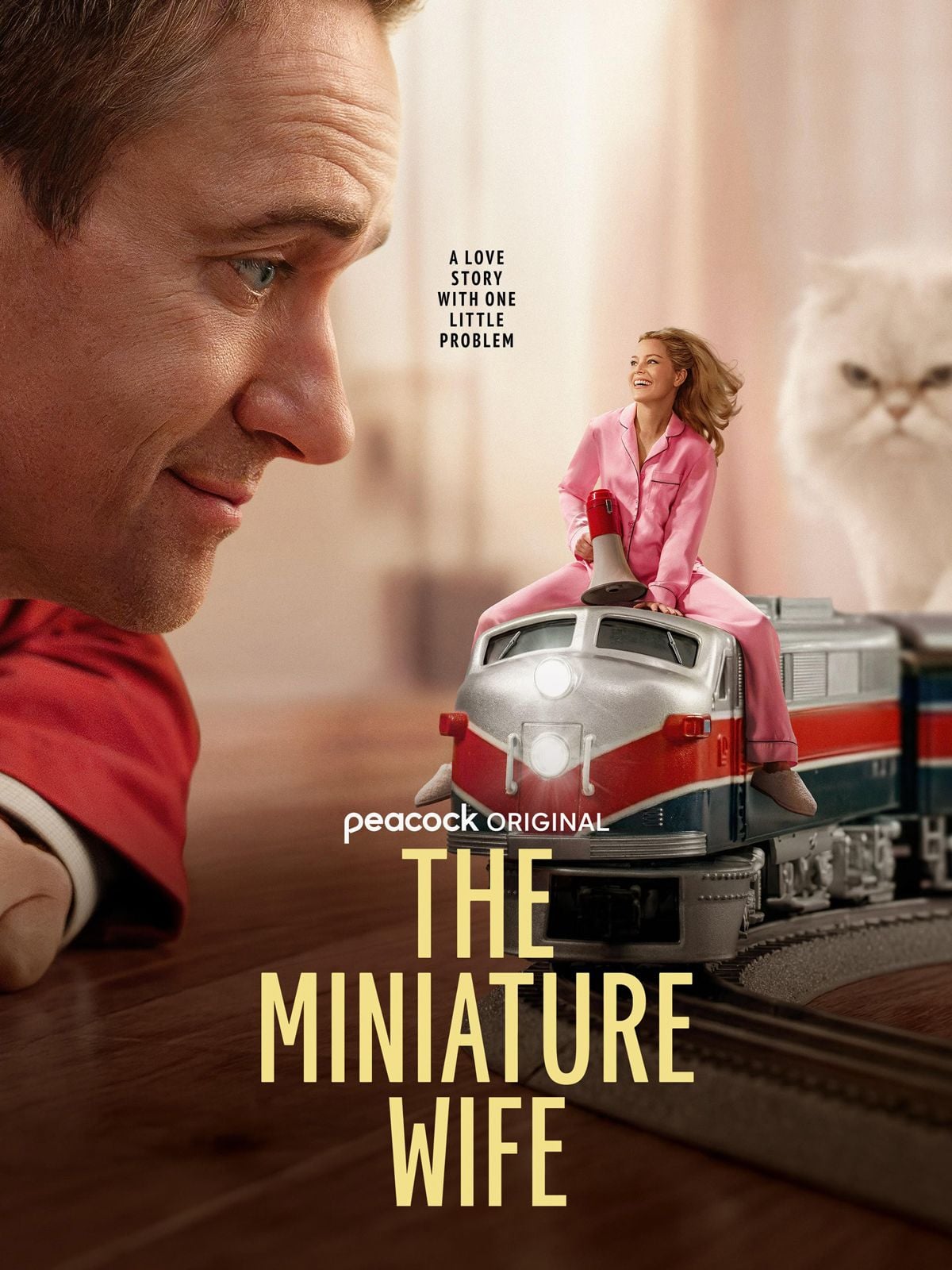 Photos et affiches de la série The Miniature Wife - AlloCiné