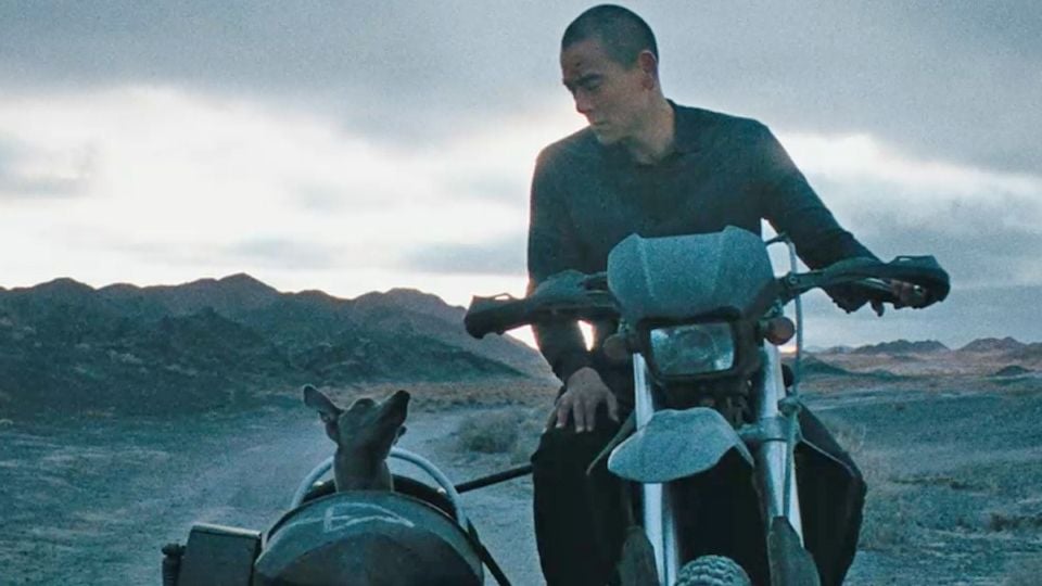 Trailer du film Black Dog - Black Dog Bande-annonce VO STFR - AlloCiné