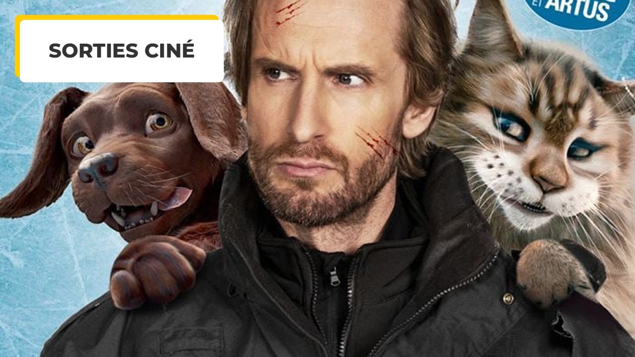 "C'est quelque chose qu'on ne fait pas en France" : comment a été ...