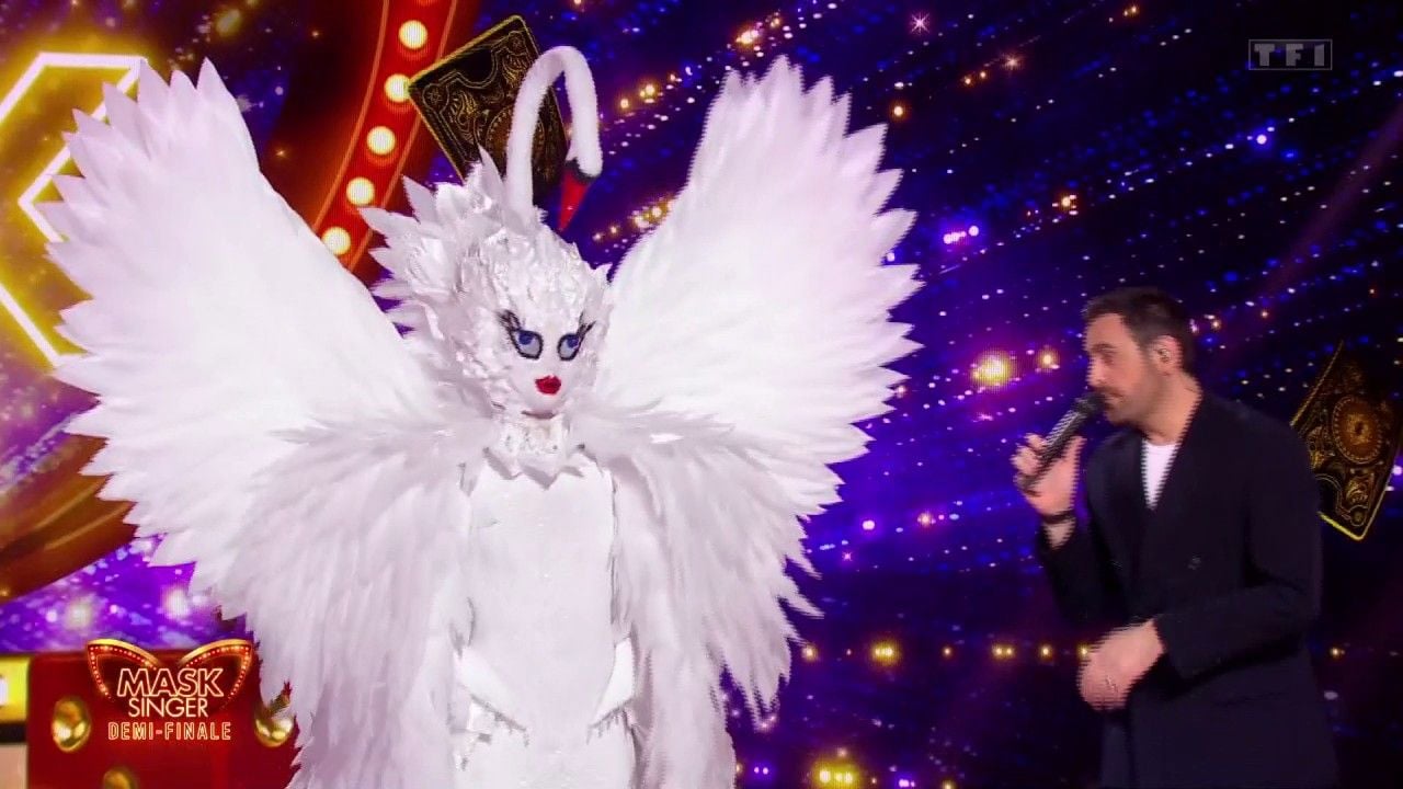 Mask Singer 2025 : le Cygne démasqué, qui se cachait sous le costume ...