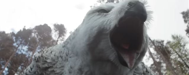 Donjons & Dragons : ce petit détail du film qui a surpris les fans ...