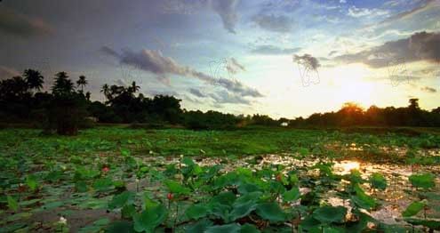 Photo de Deepa Mehta - Water : Photo Deepa Mehta - Photo 9 sur 37 ...