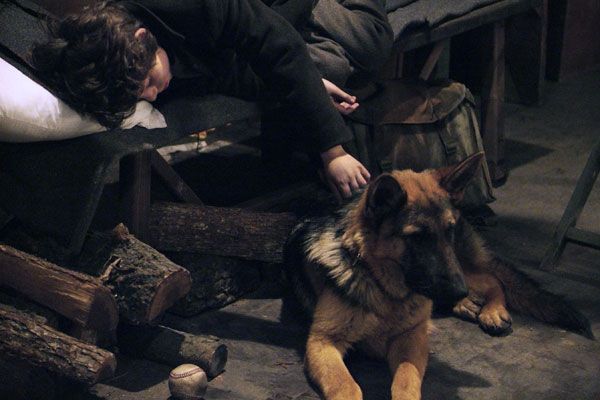 Photo de Danny Lerner - Rintintin : Photo Ana Veleva, Danny Lerner ...