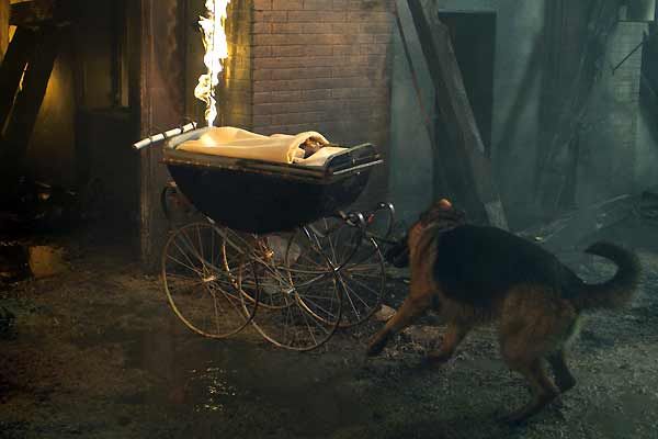 Photo de Danny Lerner - Rintintin : Photo Danny Lerner - Photo 8 sur 29 ...