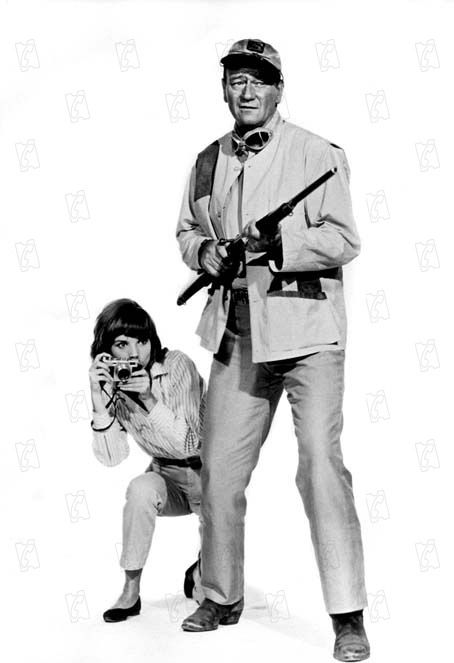 Photo du film Hatari! - Photo 6 sur 18 - AlloCiné