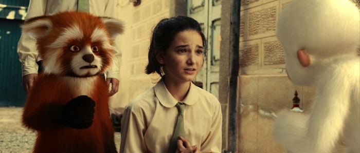 Photo du film Snowflake, le gorille blanc - Photo 24 sur 38 - AlloCiné