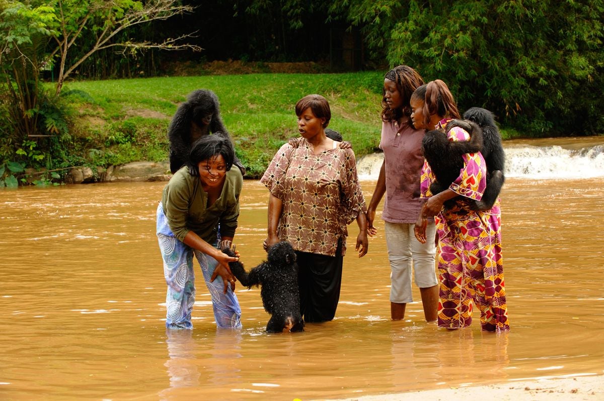 Photo du film Bonobos - Photo 23 sur 69 - AlloCiné