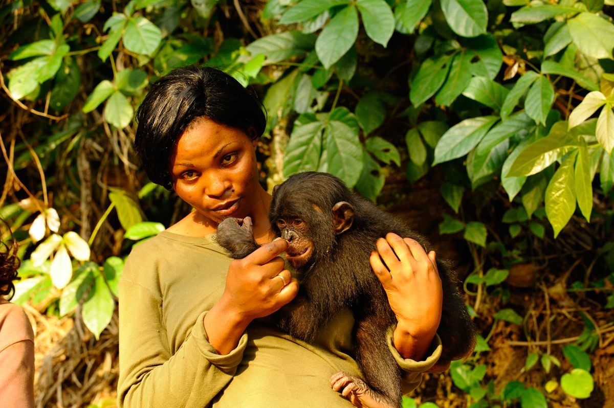Photo du film Bonobos - Photo 57 sur 69 - AlloCiné