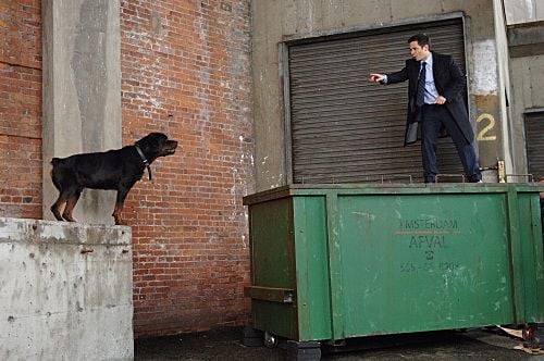 Découvrez les premières photos de "Chaos" - News Séries - AlloCiné