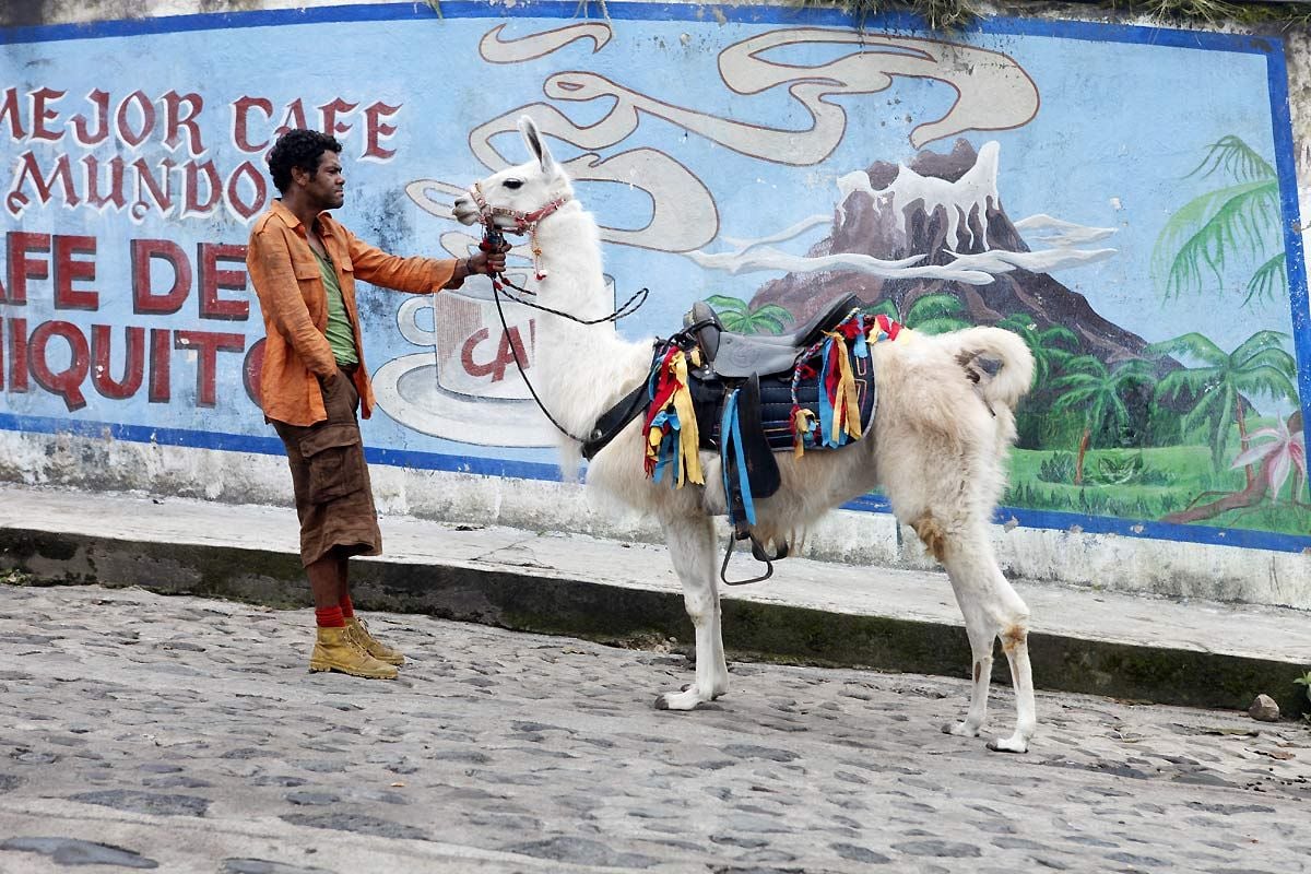 Photo du film Sur la piste du Marsupilami - Photo 7 sur 22 - AlloCiné
