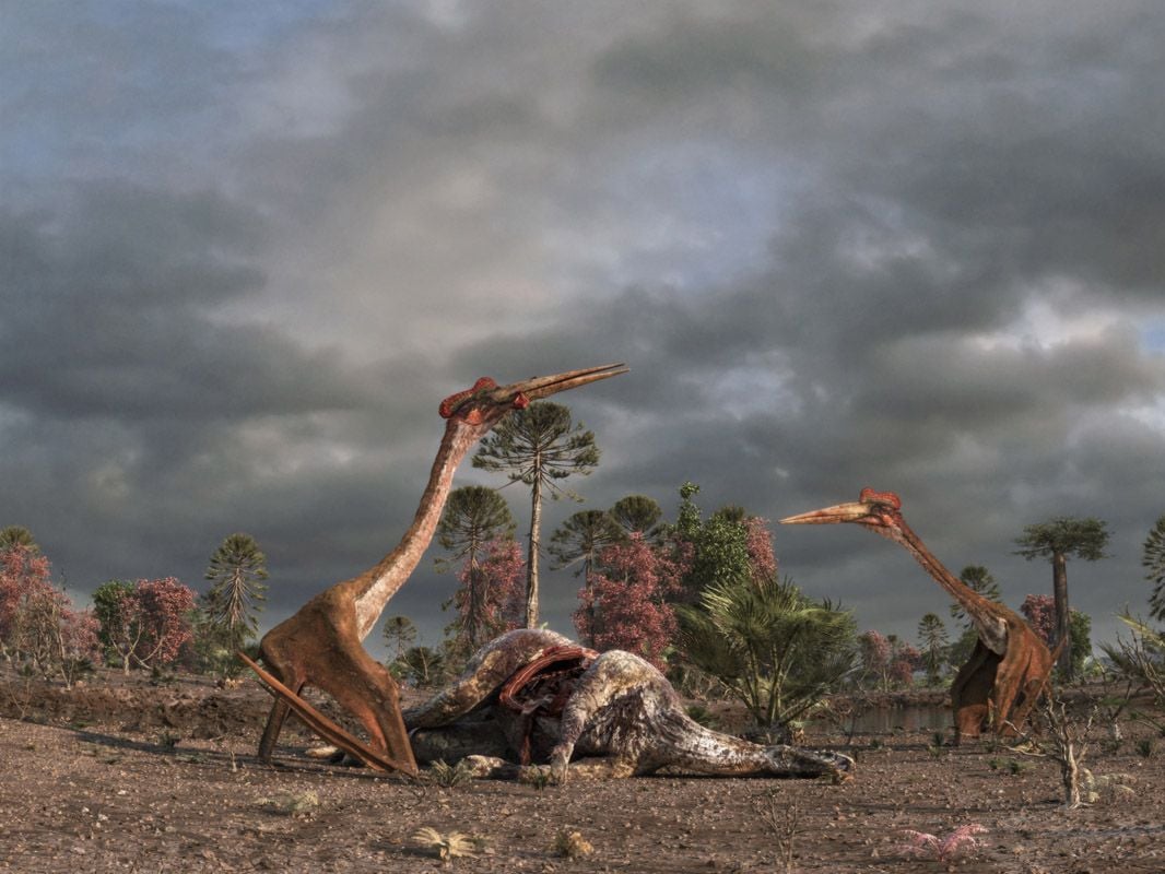 Photo de Ptérodactyles 3D : Dans le ciel des dinosaures - Photo 11 sur ...