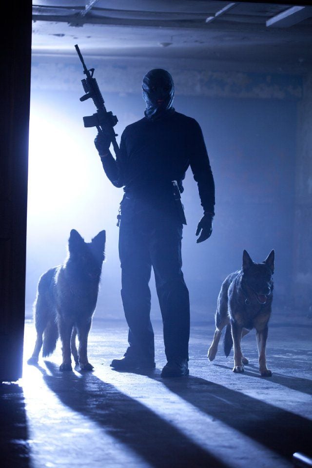 Photo du film The Collection - Photo 15 sur 16 - AlloCiné