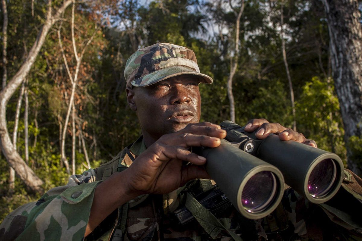 Photo du film Jurassic Attack - Photo 4 sur 9 - AlloCiné