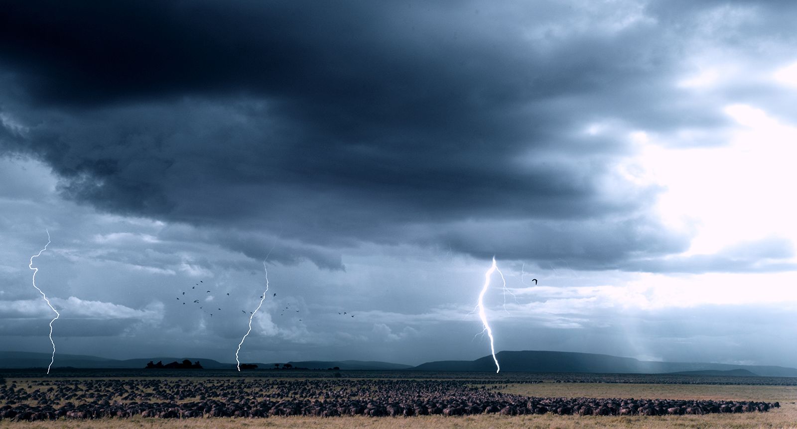 Photo du film Nature - Photo 29 sur 42 - AlloCiné