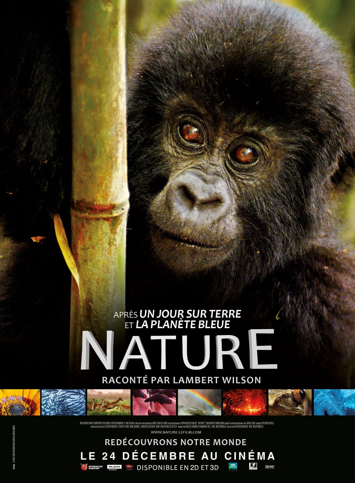 Affiche du film Nature - Photo 25 sur 42 - AlloCiné