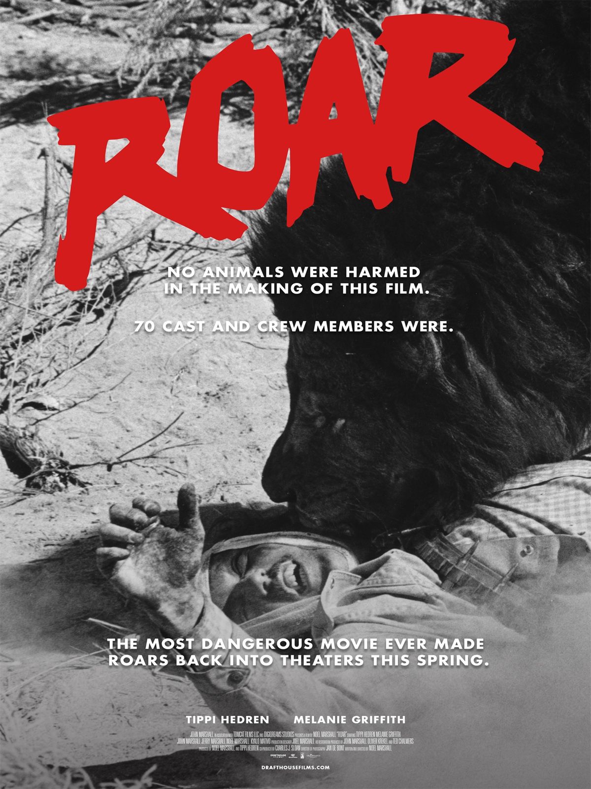 Affiche du film Roar - Photo 13 sur 16 - AlloCiné