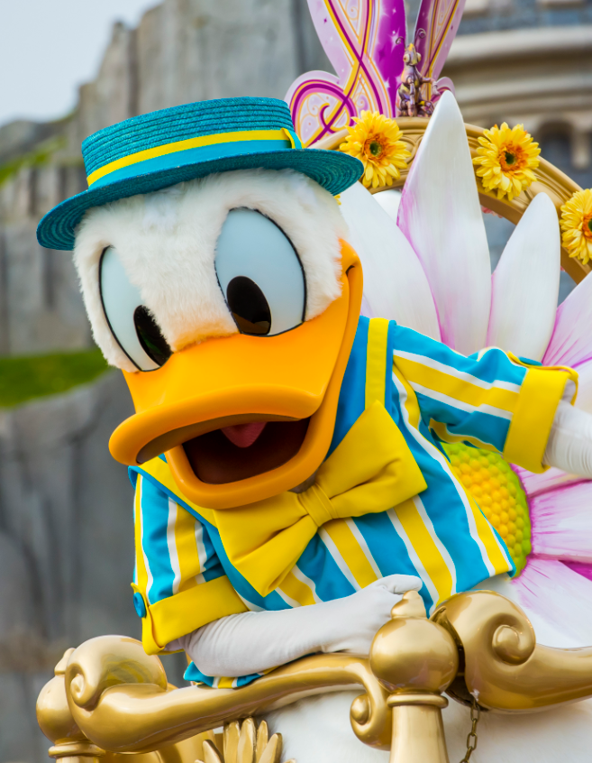 Donald : Sa biographie - AlloCiné