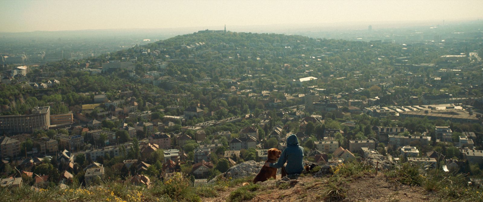 White God Film Power, Archetypes, and Cinema - dolbytheatre