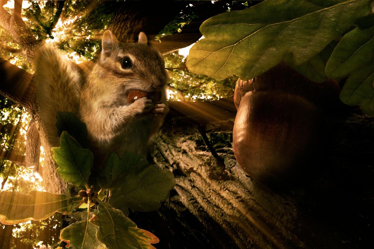 Photo du film Mini héros - Photo 22 sur 28 - AlloCiné