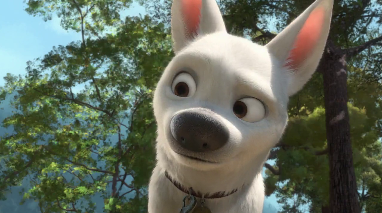 Photo du film Volt, star malgré lui - Photo 5 sur 48 - AlloCiné