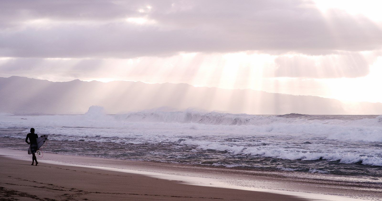 Photo du film The Search for Freedom - Photo 10 sur 20 - AlloCiné