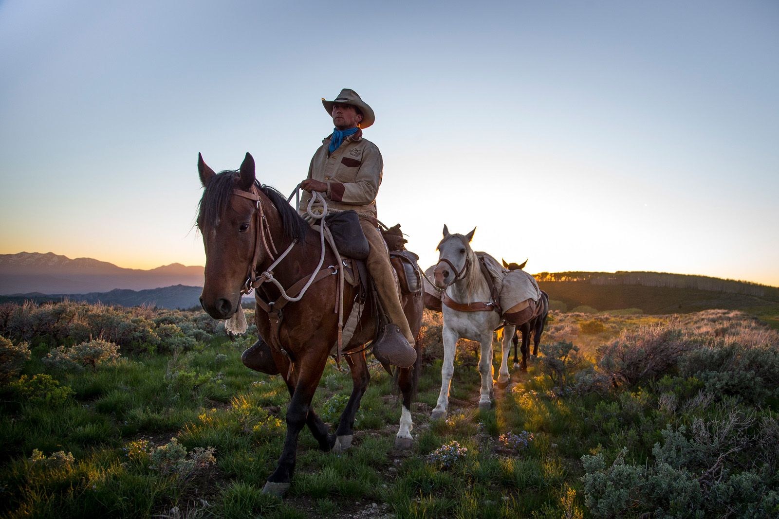 Photo du film Unbranded - Photo 12 sur 13 - AlloCiné