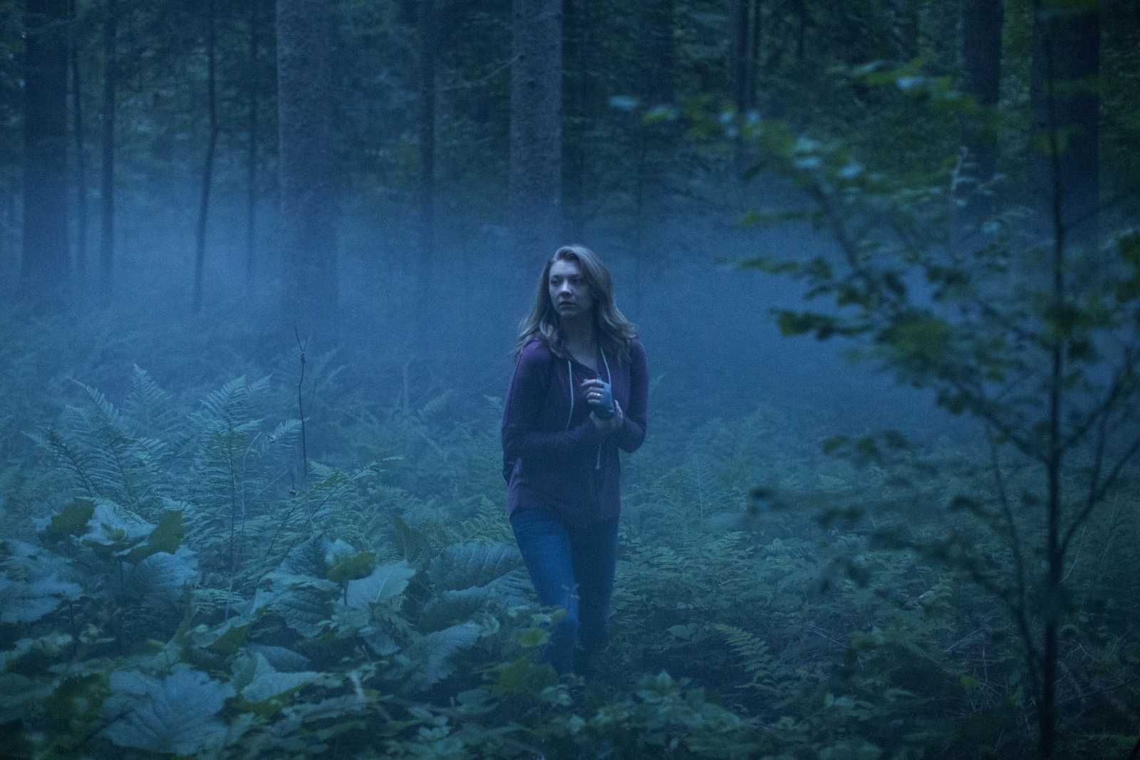 Photo du film The Forest - Photo 20 sur 27 - AlloCiné