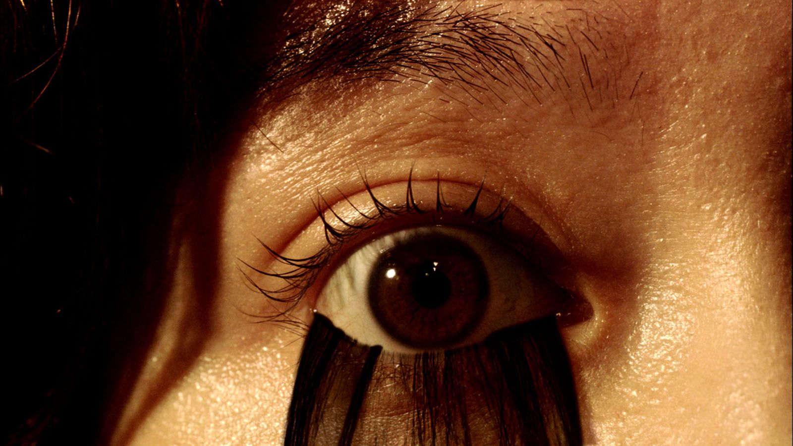 Photo du film Exte - Photo 5 sur 7 - AlloCiné