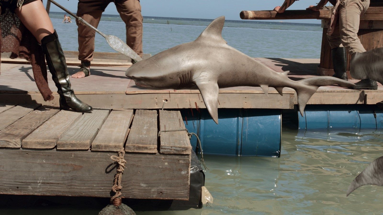 Photo de Planet of the Sharks - Photo 19 sur 20 - AlloCiné