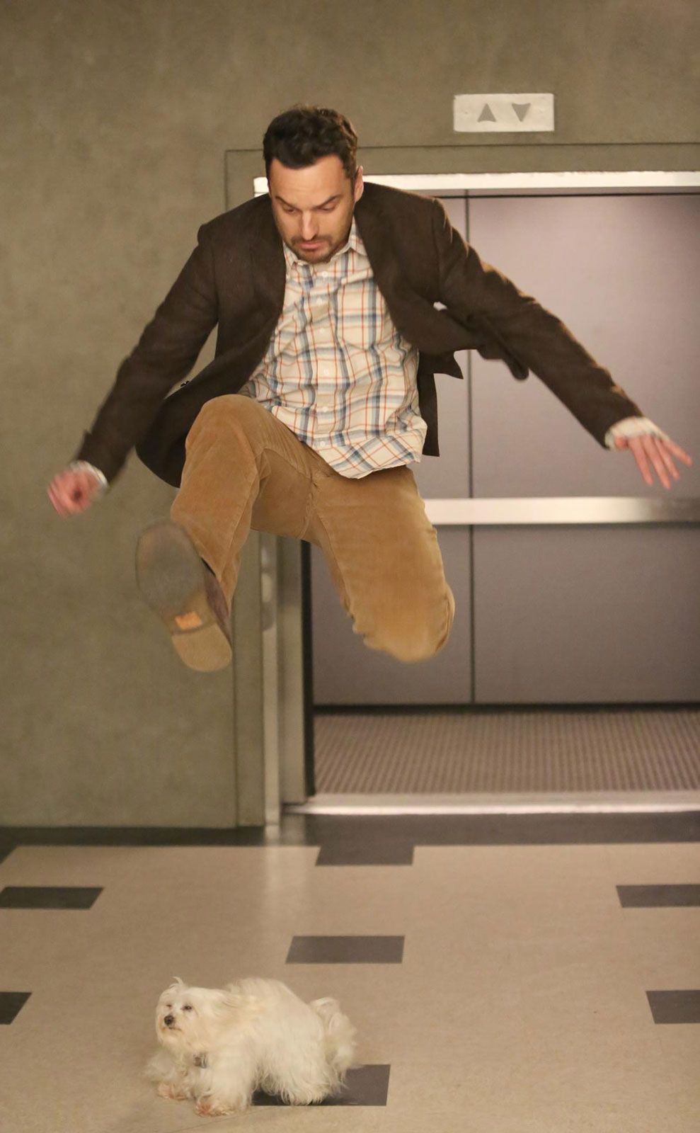 New Girl : New Girl : Photo Jake Johnson - 170 sur 886 - AlloCiné