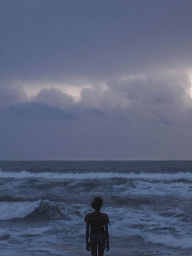 Selva - Court Métrage - AlloCiné