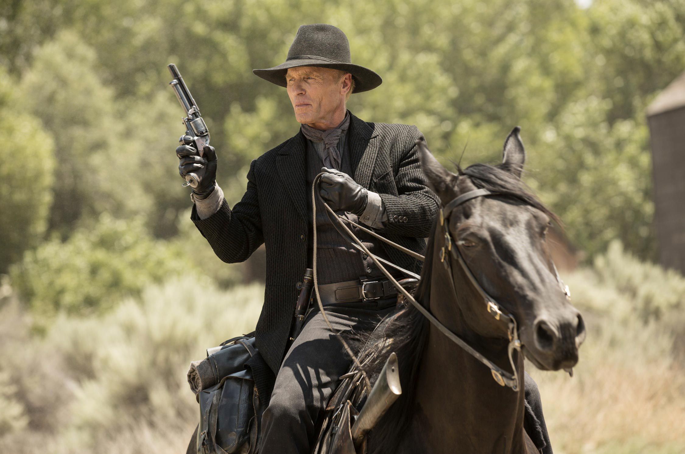 Photo de Ed Harris - Westworld : Photo Ed Harris - Photo 30 sur 122 ...