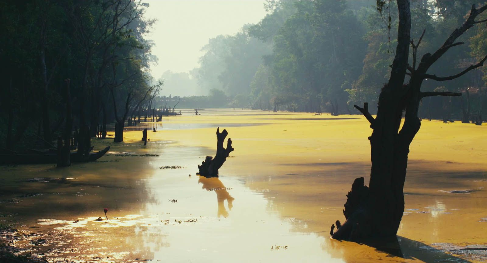 Photo du film Le Chemin - Photo 3 sur 9 - AlloCiné